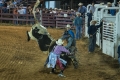 JOHN HARDING PHOTOGRAPHY | Photos from around the World